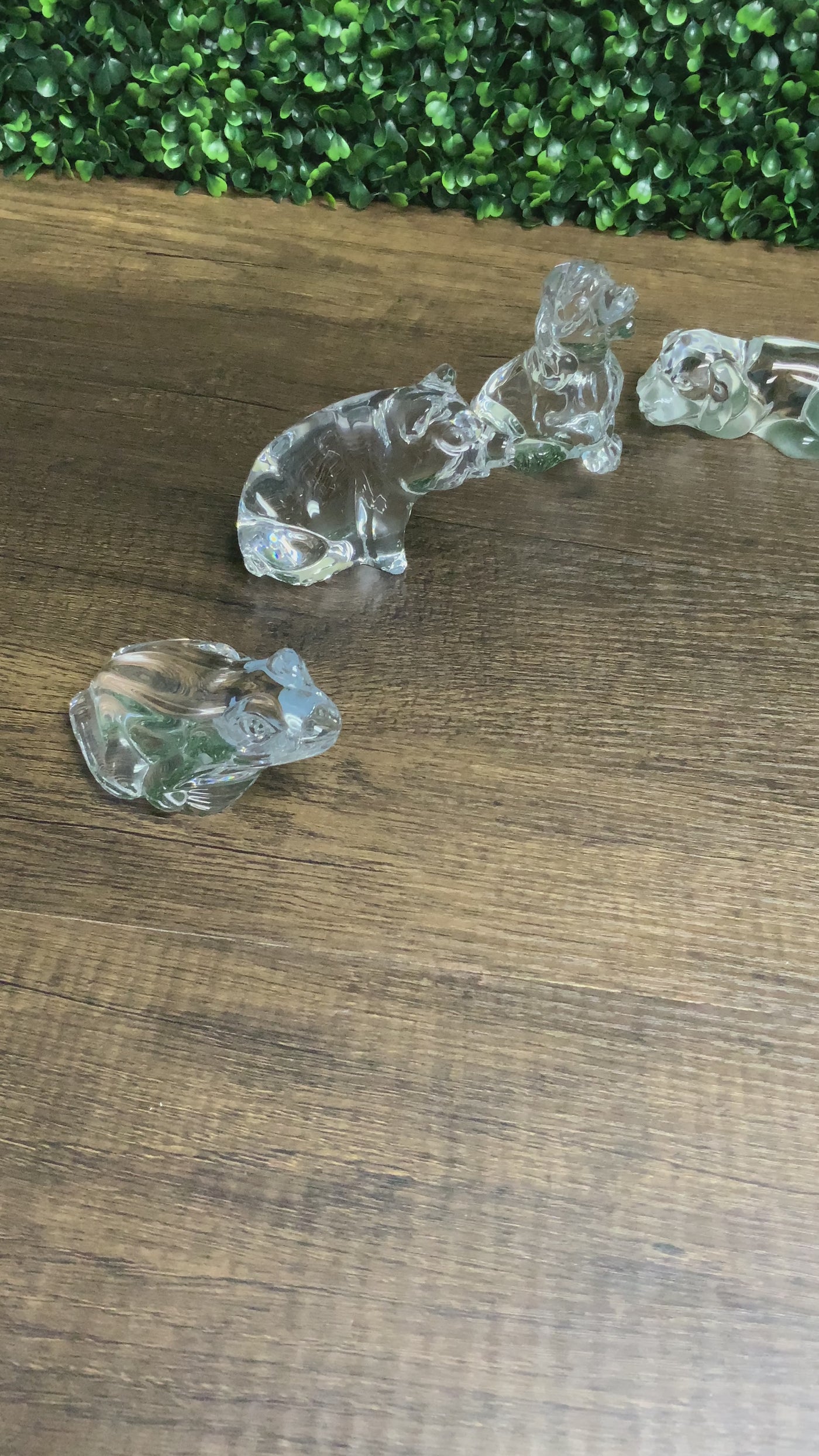 Animal Molds, Dog Mold, Cat Mold, Horse Mold, Pig Mold, Frog Mold, Bea ...